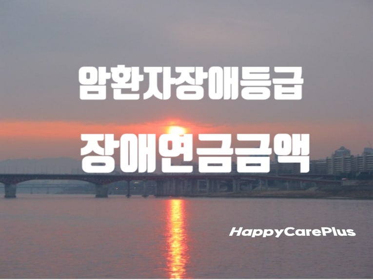 암환자 장애 등급장애연금 금액 국민 연금 관리공단 네이버 블로그
