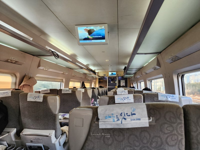 국내 기차여행 Ktx 대전 당일치기 코스 갈만한곳 핫플 여기요 네이버 블로그