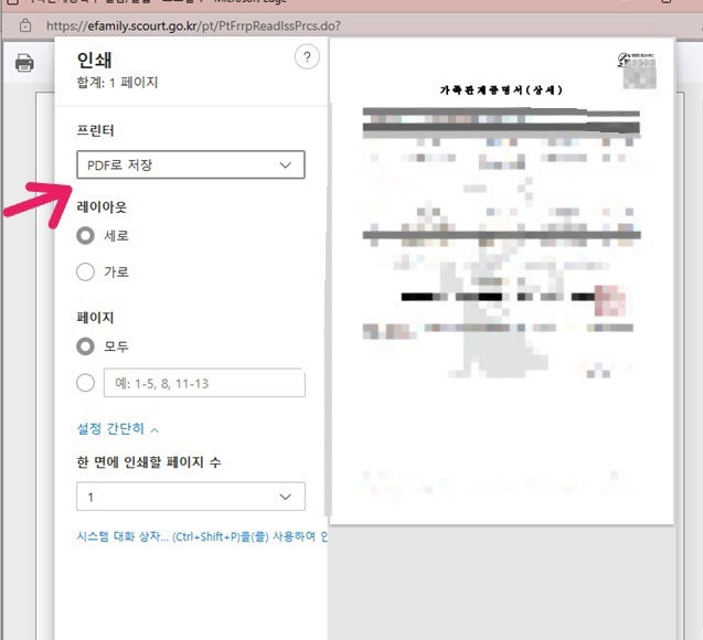 인터넷 개명신청 방법 셀프개명 후기1 필요서류 개명사유 비용 네이버 블로그