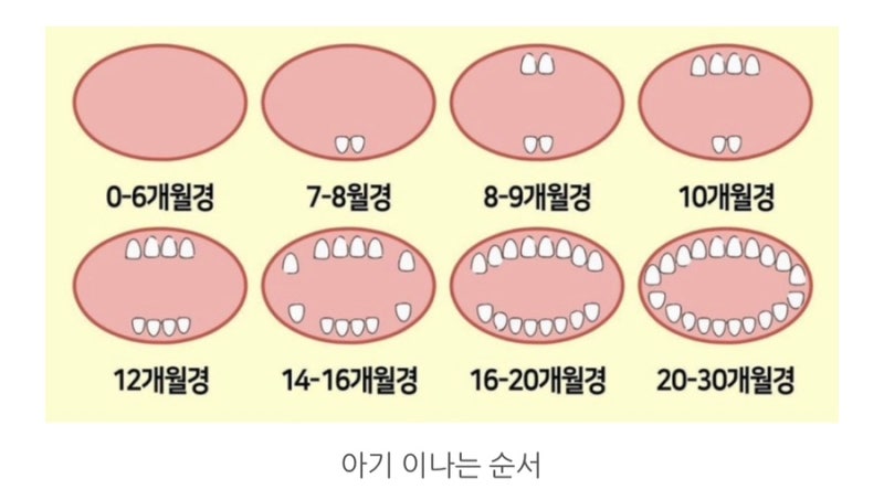 아기 이나는 시기 및 순서 이앓이 증상과 완화방법 네 가지 네이버 블로그