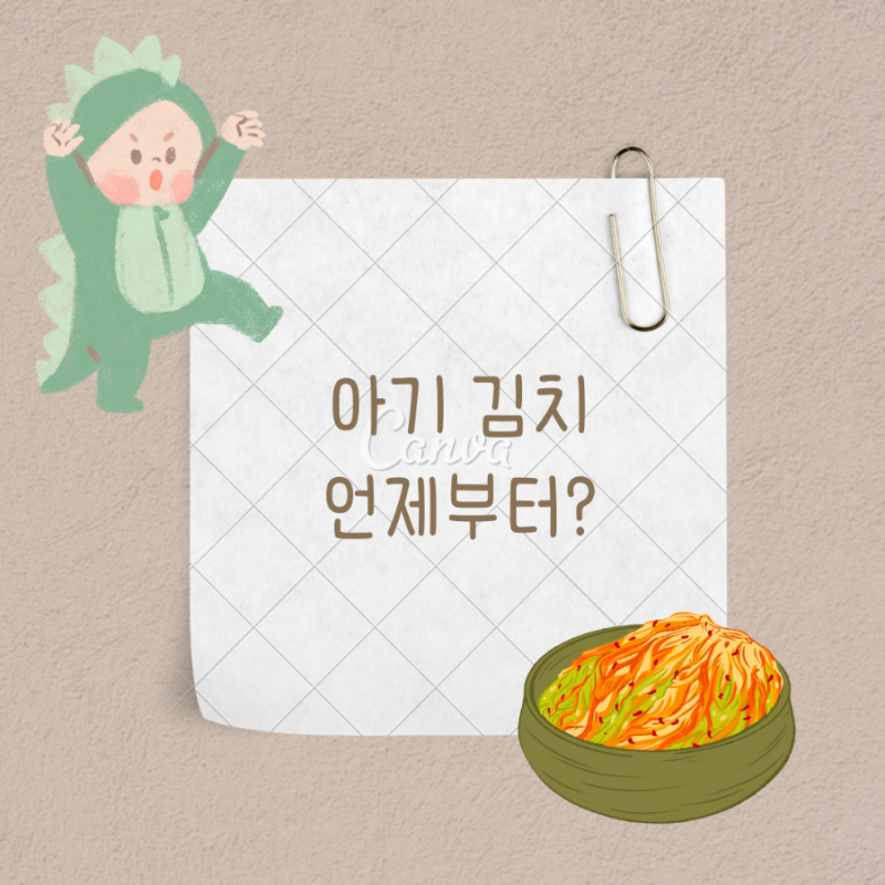 아기 김치 언제부터 백김치 볶음밥 만들기 네이버 블로그
