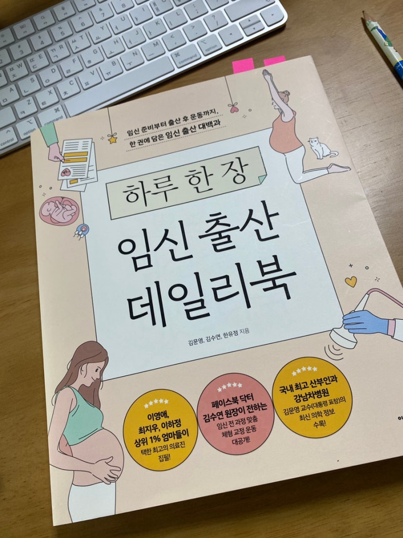 임신 정보 착상은 언제쯤될까 임신주수 계산법 수정 착상 과정 부부관계 시기 네이버 블로그
