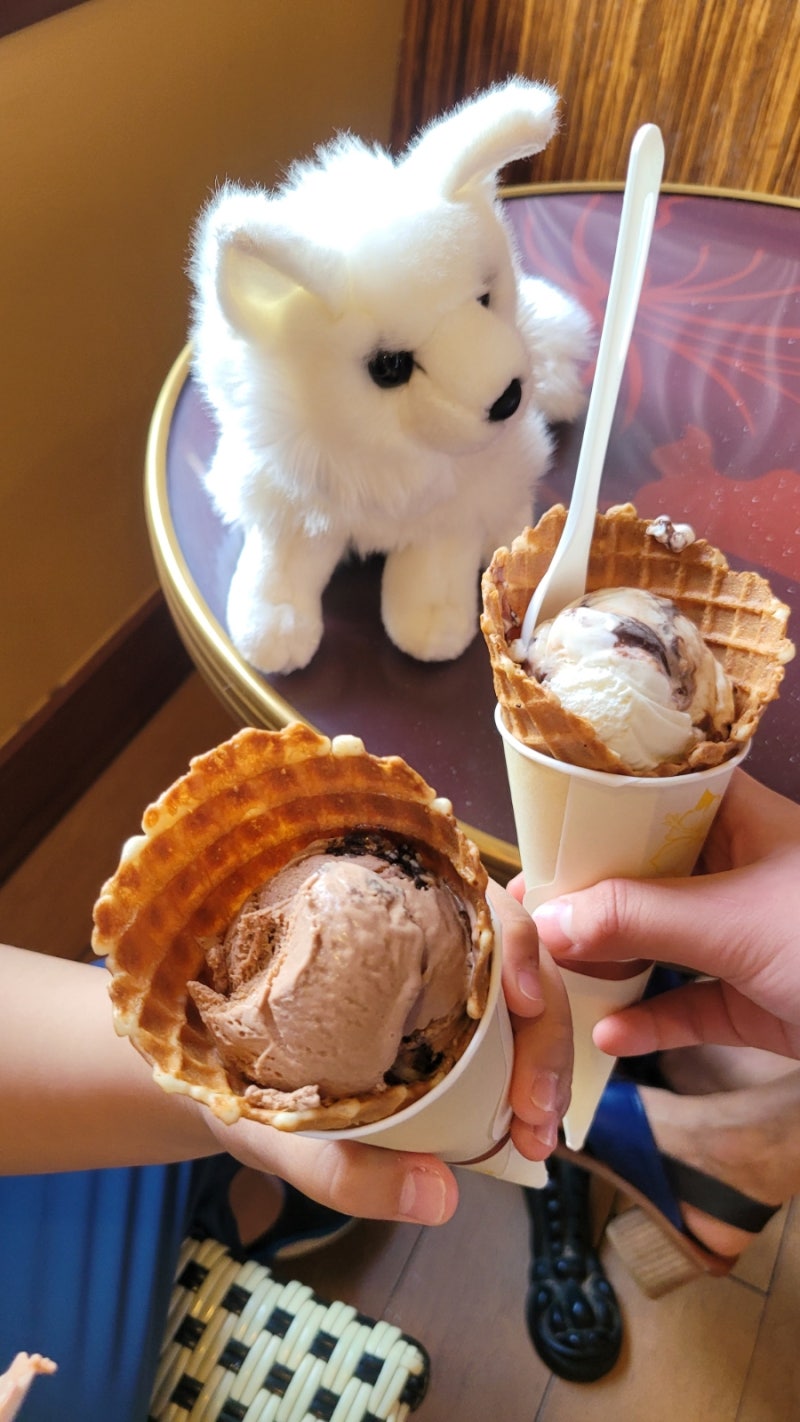 202301 3박5일 아이와 하와이 여행 일정 맛집 쇼핑 호텔 추천 Ft 힐튼 하와이안빌리지 네이버 블로그