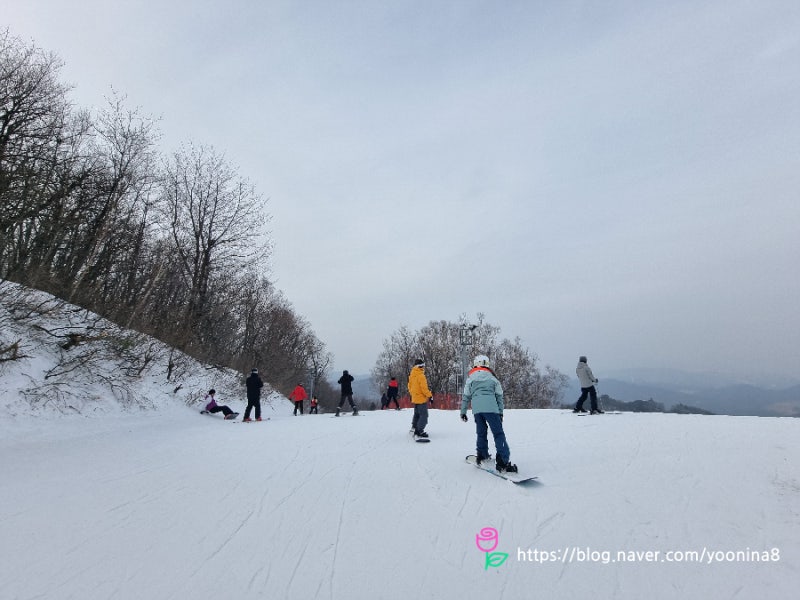 발왕산 평화봉 등산코스, 용평리조트 엄홍길 코스 : 네이버 블로그