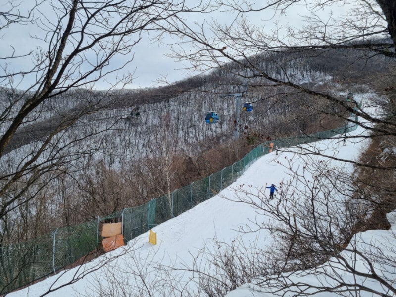 평창 발왕산 케이블카를 타지 않고 오르는 발왕산 평화봉 산행등산코스 네이버 블로그