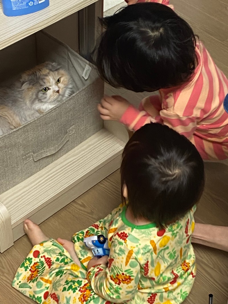 Hello, 2023 : 네이버 블로그