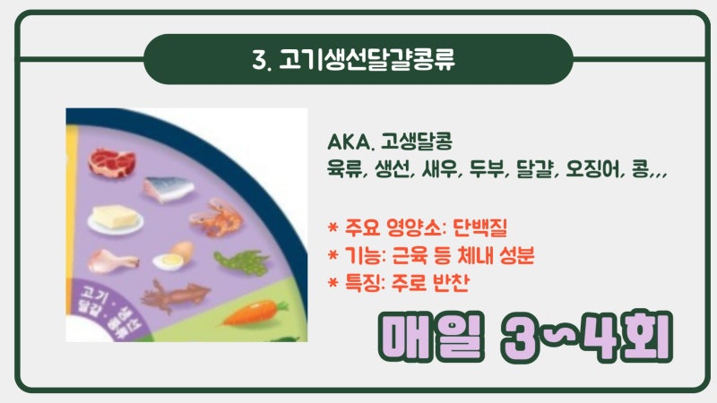기술가정2 식사의 계획과 선택 식품구성자전거 식단작성하기 활동 네이버 블로그