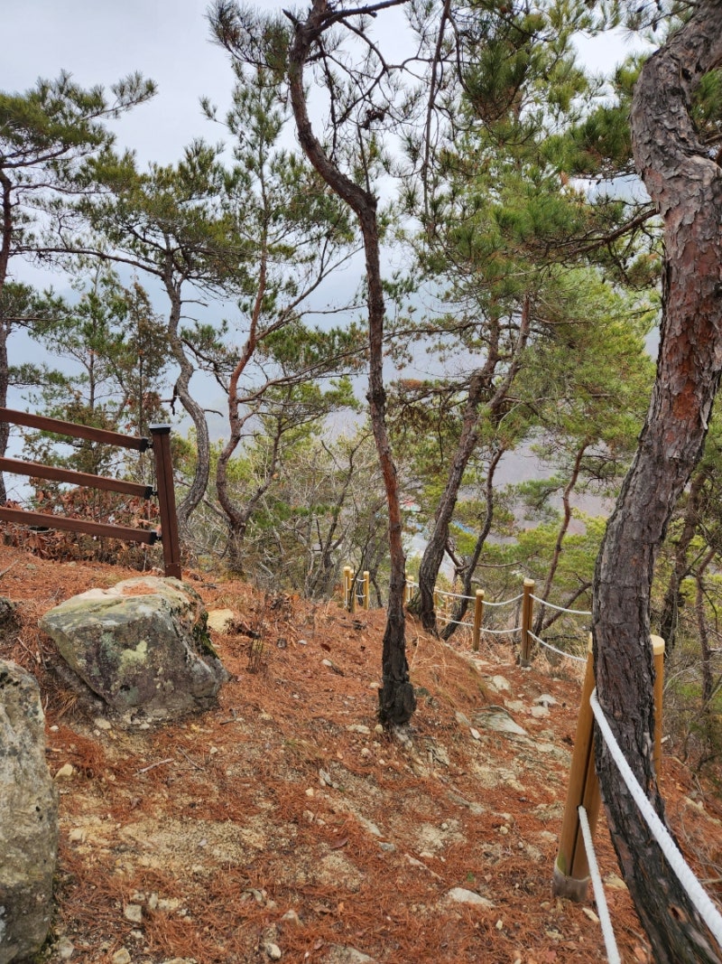 대전 장태산 자연휴양림 등산코스 자연휴양림~전망대~형제바위~형제산~팔마정~커피인터뷰 네이버 블로그