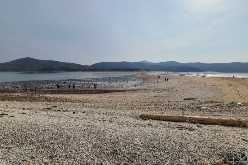 인천 무의도 여행코스 하나개 해수욕장 실미도 해수욕장 물 때 맞춰가세요 네이버 블로그
