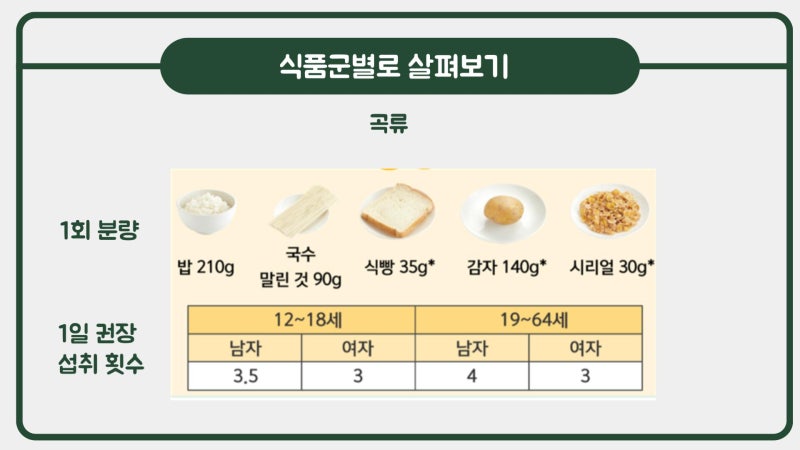 기술가정2 식사의 계획과 선택 식품구성자전거 식단작성하기 활동 네이버 블로그