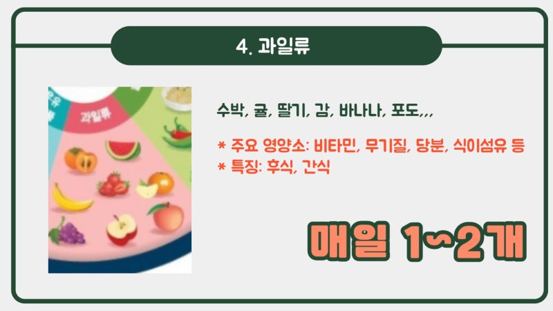 기술가정2 식사의 계획과 선택 식품구성자전거 식단작성하기 활동 네이버 블로그