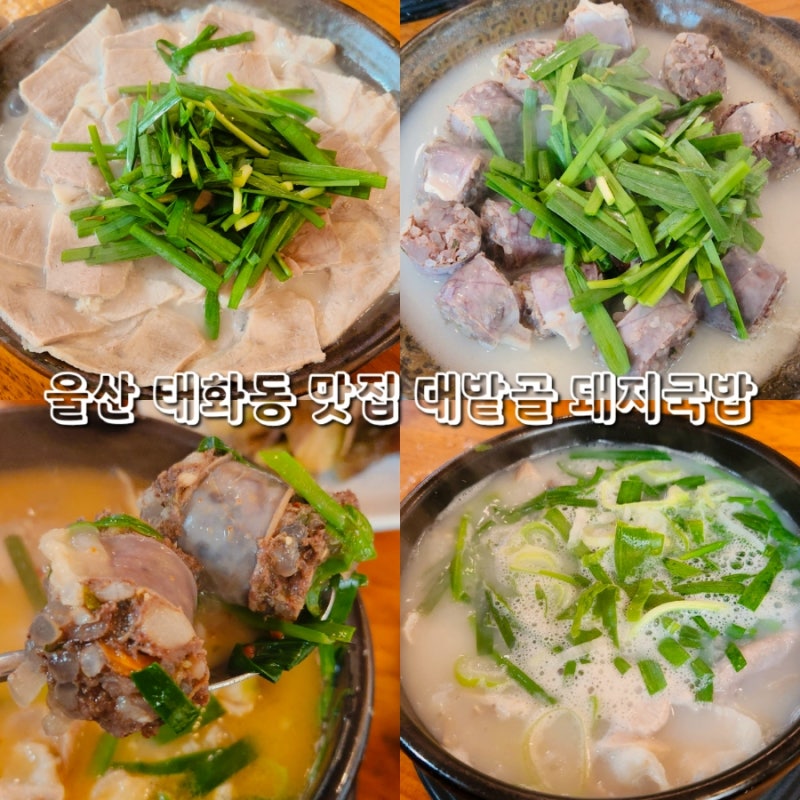 울산 태화동 국밥 맛집 태화강 국가정원 맛집 대밭골 돼지국밥 네이버 블로그