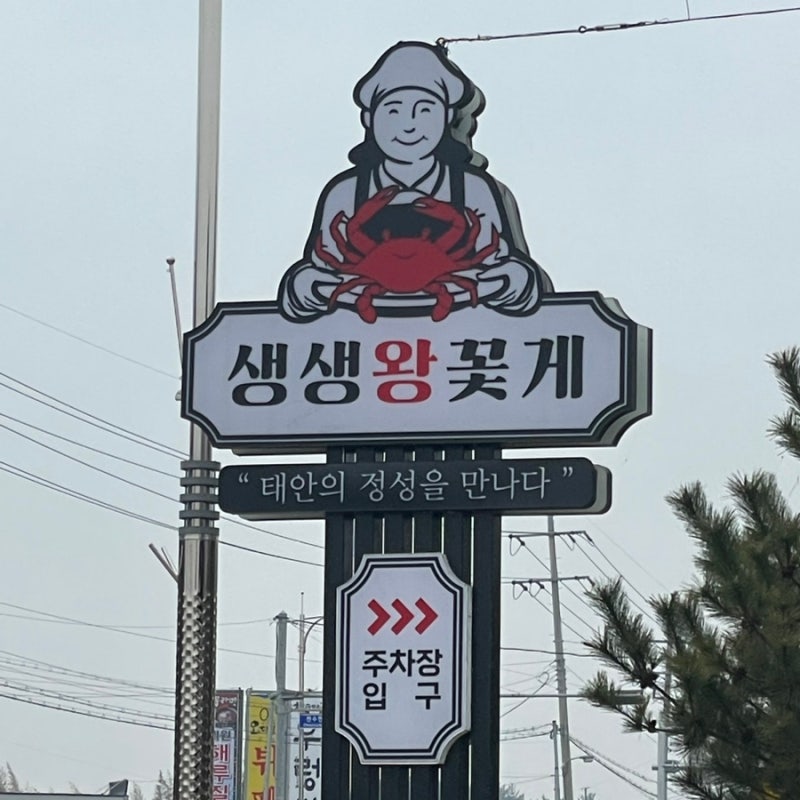충남 태안 생생왕꽃게 간장게장 게국지 찐맛집 찐리뷰 네이버 블로그