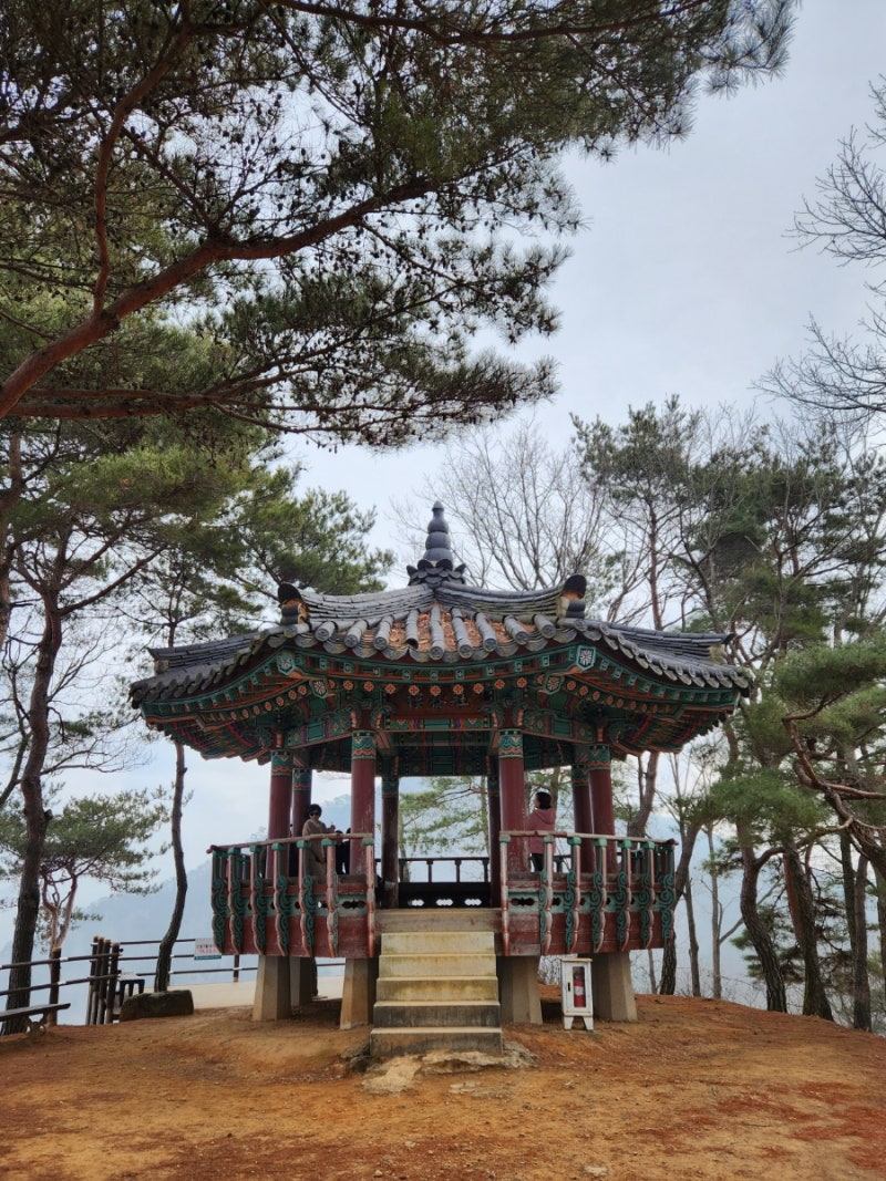 대전 장태산 자연휴양림 등산코스 자연휴양림~전망대~형제바위~형제산~팔마정~커피인터뷰 네이버 블로그