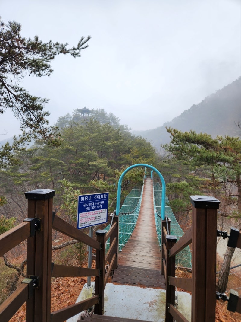 대전 장태산 자연휴양림 등산코스 자연휴양림~전망대~형제바위~형제산~팔마정~커피인터뷰 네이버 블로그