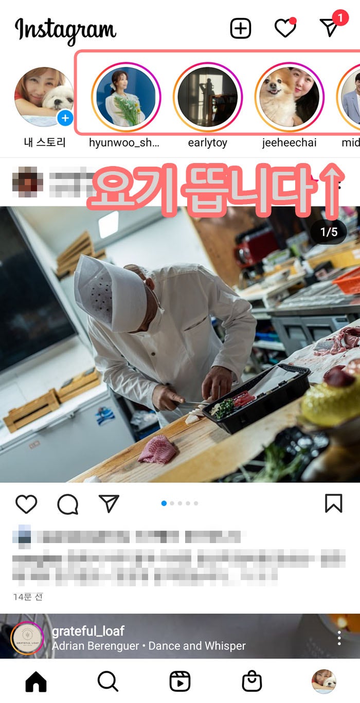 인스타그램 사용법 기초 개념정리 릴스 스토리 피드 주소 네이버 블로그