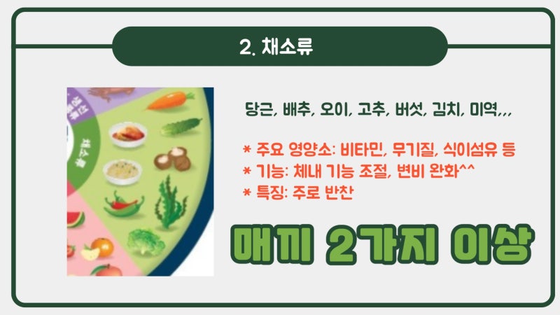 기술가정2 식사의 계획과 선택 식품구성자전거 식단작성하기 활동 네이버 블로그