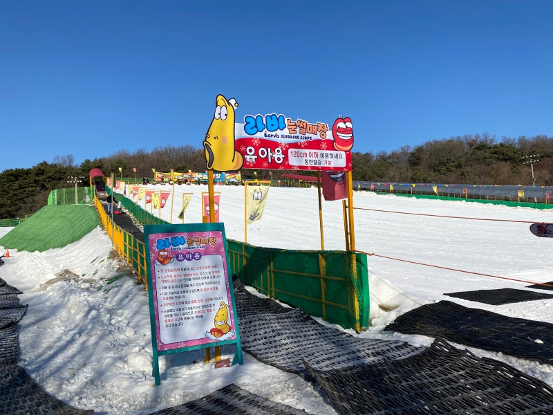 서울랜드눈썰매장 5살 아이와 겨울 눈 놀이하기 좋은 놀이공원 썰매장 네이버 블로그