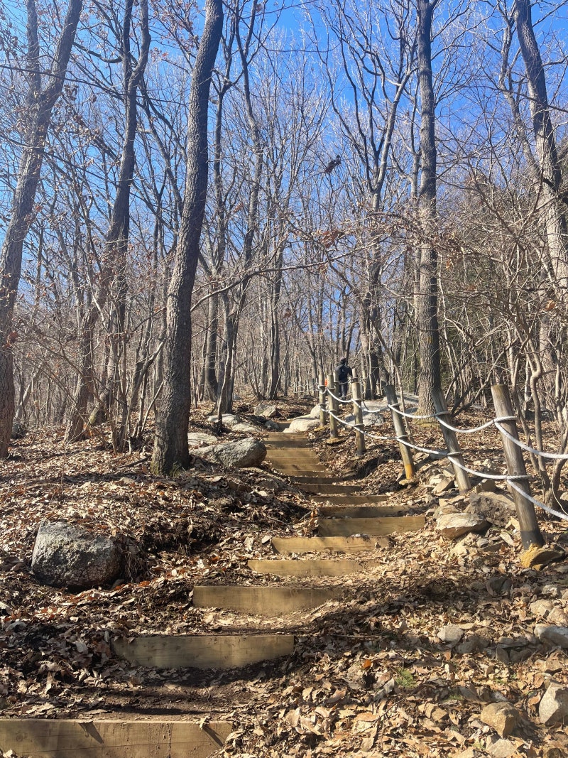 [전남 등산] 장성 축령산 등산코스 / 소요시간 / 최단코스 : 네이버 블로그