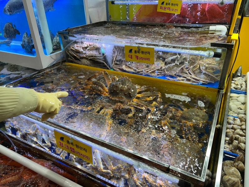 수원농수산물도매시장 내돈내산 과일동 딸기와 수산동 홍게 구입 후기 네이버 블로그