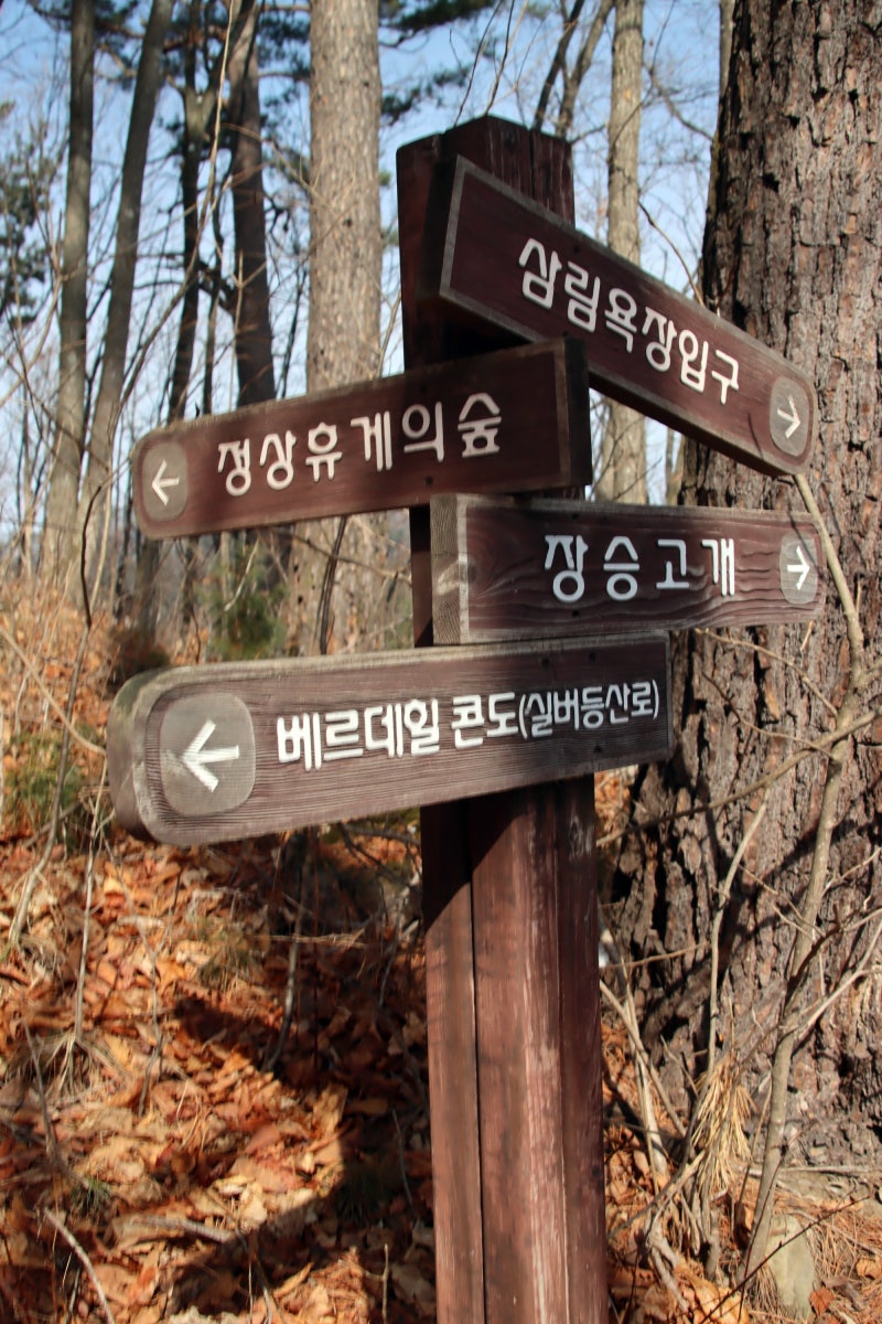 평창 발왕산 케이블카를 타지 않고 오르는 발왕산 평화봉 산행등산코스 네이버 블로그