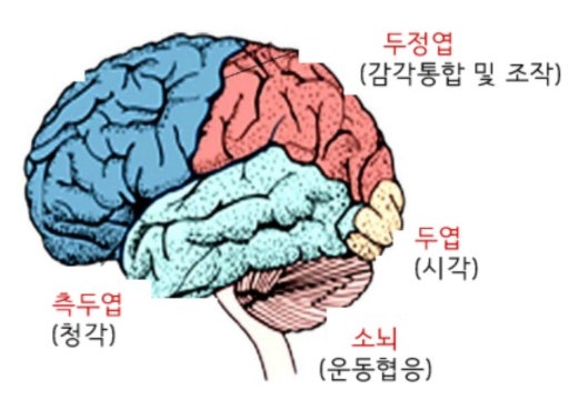 RFC1 캔버스 스펙트럼(CANVAS spectrum) : 네이버 블로그