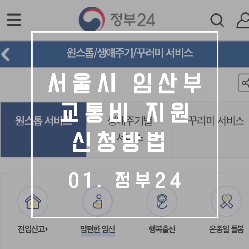 산모일기 서울시 임산부 교통비 지원 신청 01 정부24 Pc 모바일 가능 네이버 블로그