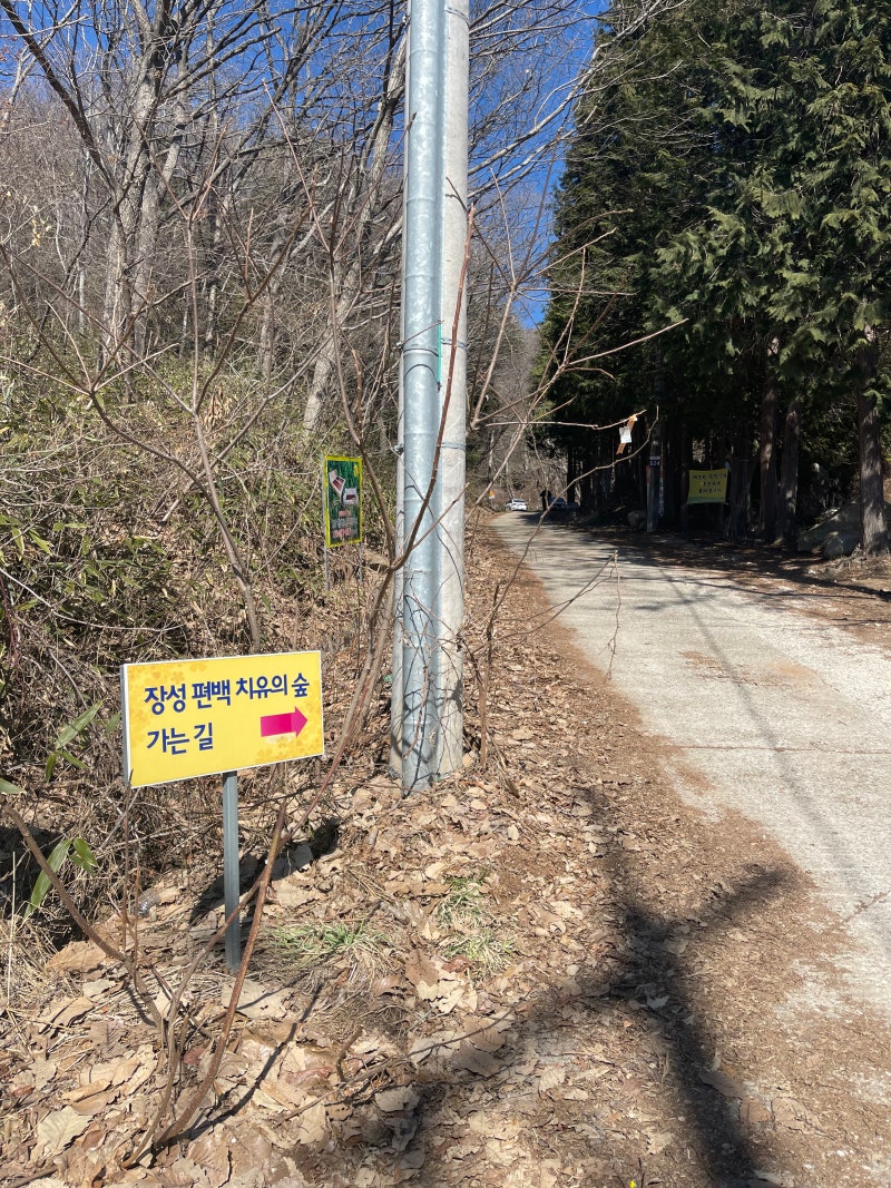 전남 등산 장성 축령산 등산코스 소요시간 최단코스 네이버 블로그