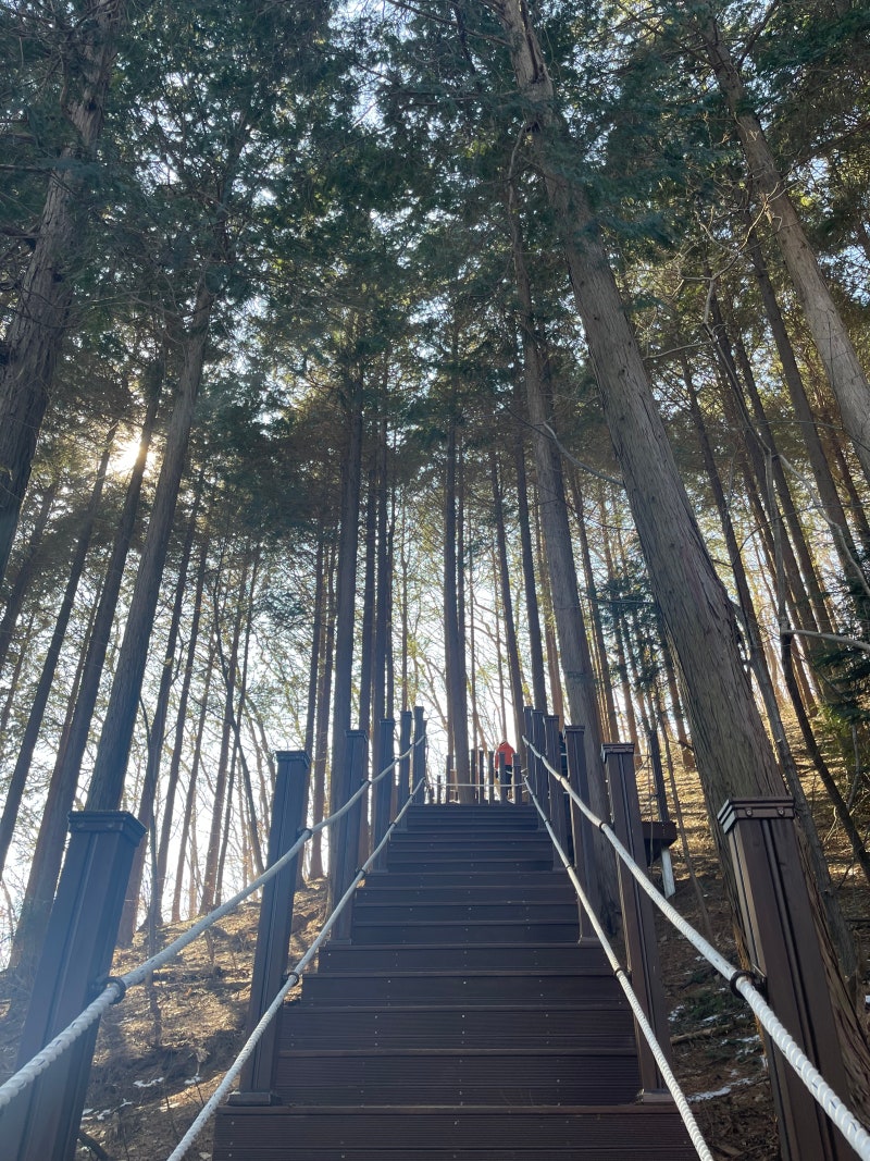 전남 등산 장성 축령산 등산코스 소요시간 최단코스 네이버 블로그