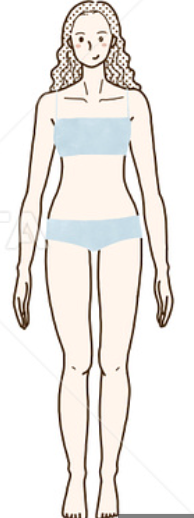 스트레이트 웨이브 내추럴 체형 코디 연예인 패션 네이버 블로그
