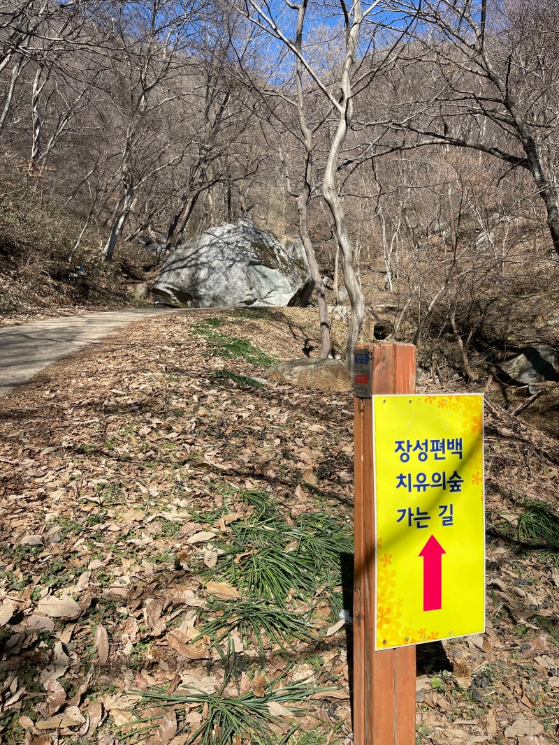 전남 등산 장성 축령산 등산코스 소요시간 최단코스 네이버 블로그