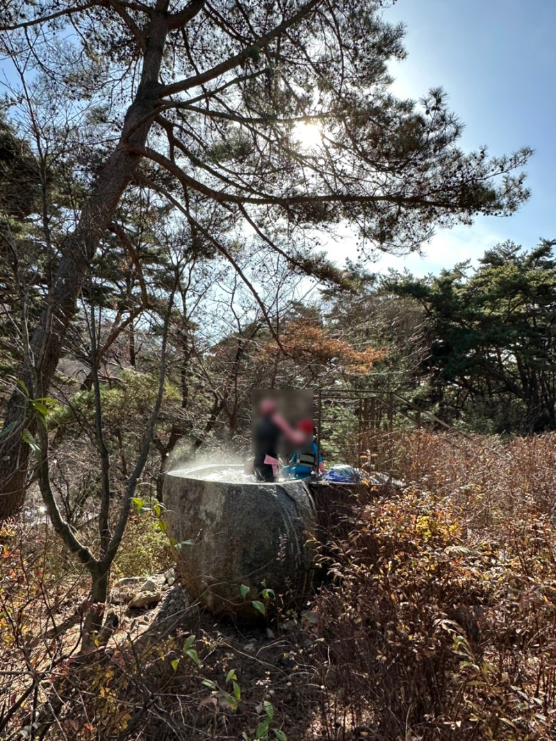 제천 리솜포레스트 헤브나인 스파 온천 가격 할인 예약 준비물 먹거리 네이버 블로그