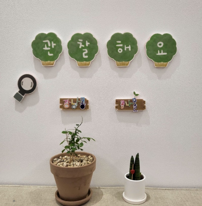 새학기자료 과학영역 관찰해요 과학영역환경구성 과학놀이 관찰해봐요 과학판 네이버 블로그