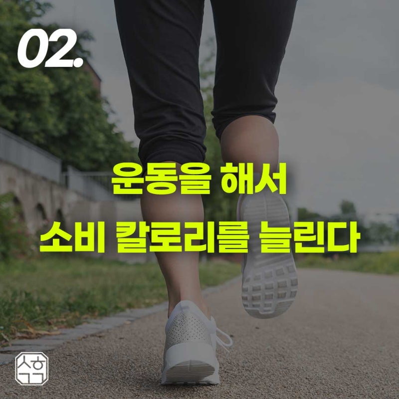 성인 여자 하루 권장 칼로리 제대로 알고 살빼는법 네이버 블로그