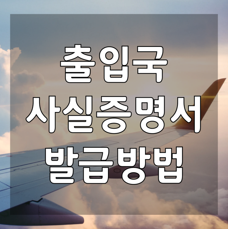 출입국사실명증서 출입국에 관한 사실증명 출입국증명서 출입국확인서 발급 대리발급 기록대조 자녀 미성년자 외국인