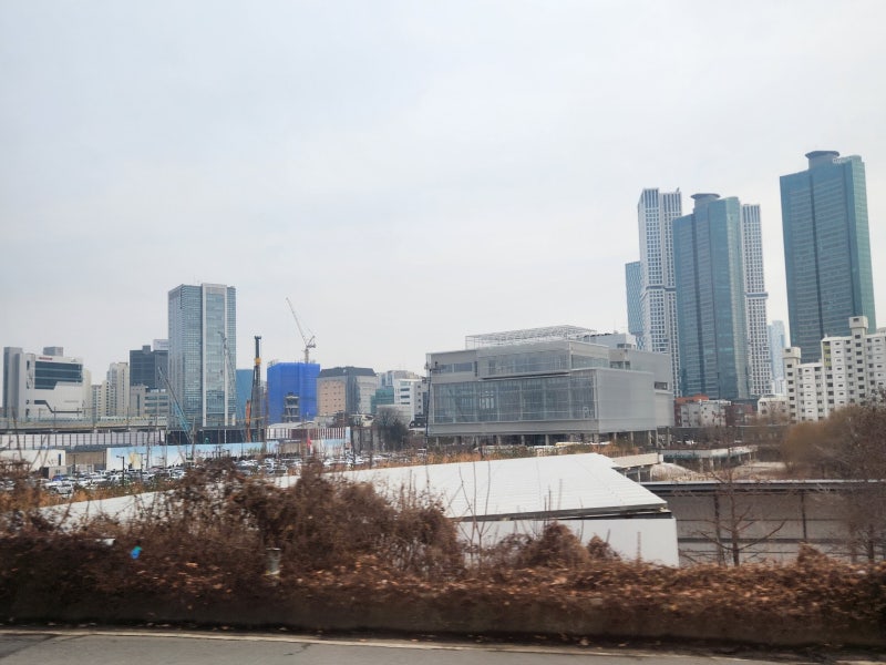 서울숲 수영장 주말 자유수영 서울숲수영장 서울숲복합문화체육센터 성수동수영장 서울채광맛집수영장 네이버 블로그