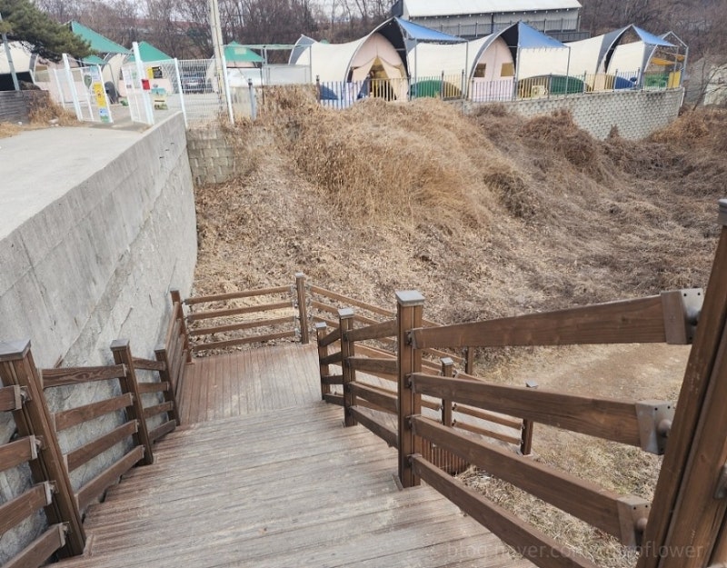 용인 기흥호수공원 둘레길 한바퀴 산책 네이버 블로그