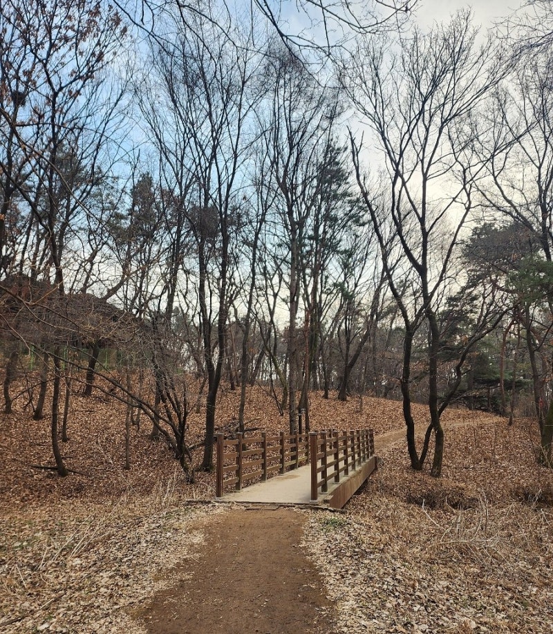 용인 기흥호수공원 둘레길 한바퀴 산책 네이버 블로그