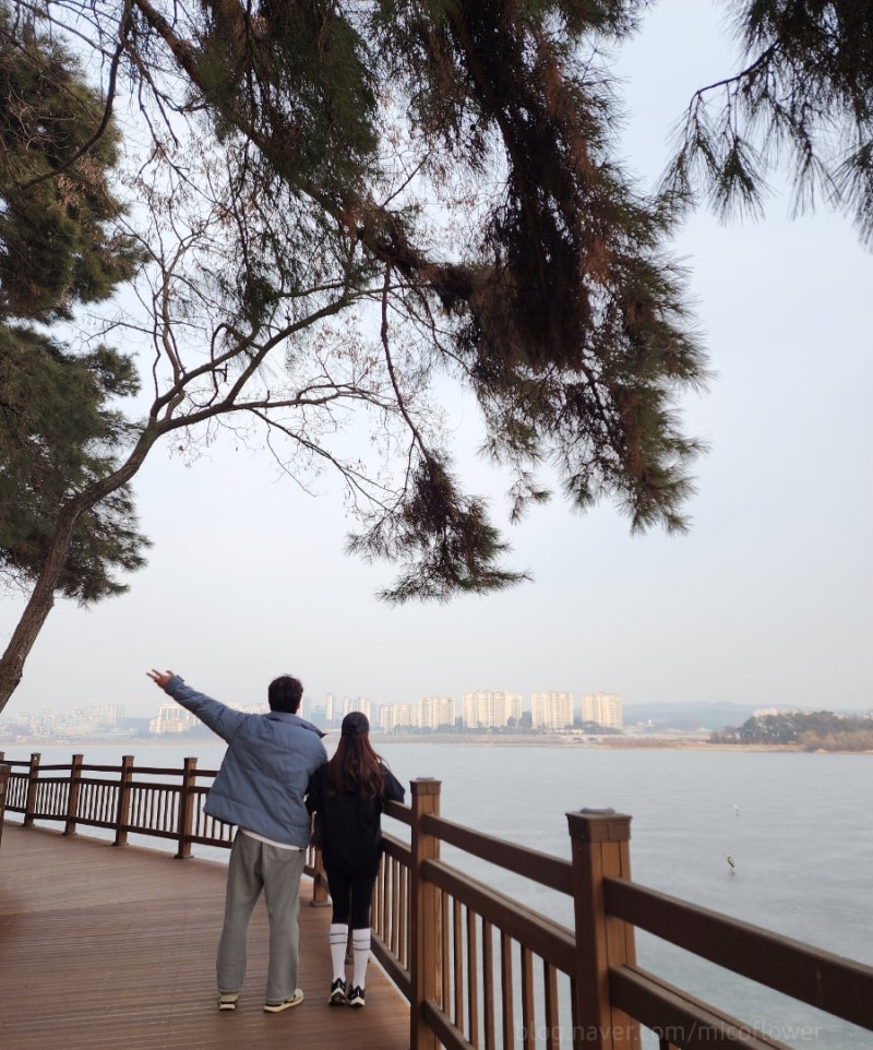 용인 기흥호수공원 둘레길 한바퀴 산책 네이버 블로그