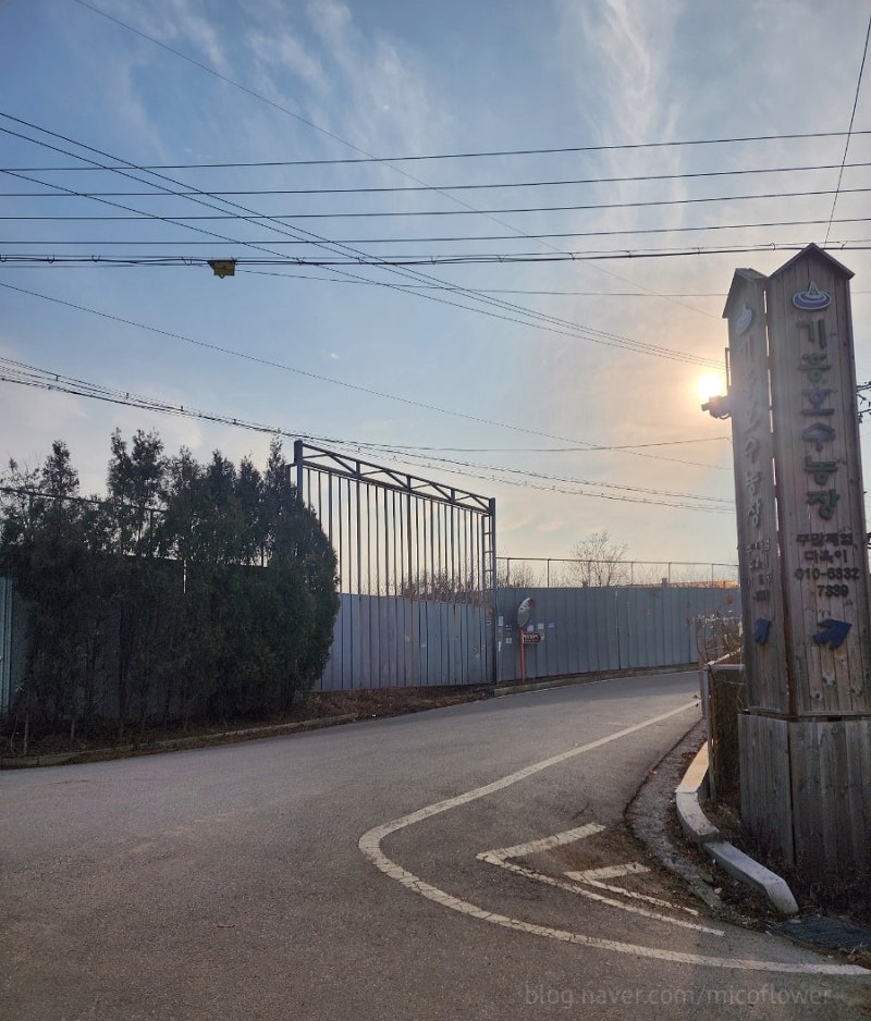 용인 기흥호수공원 둘레길 한바퀴 산책 네이버 블로그