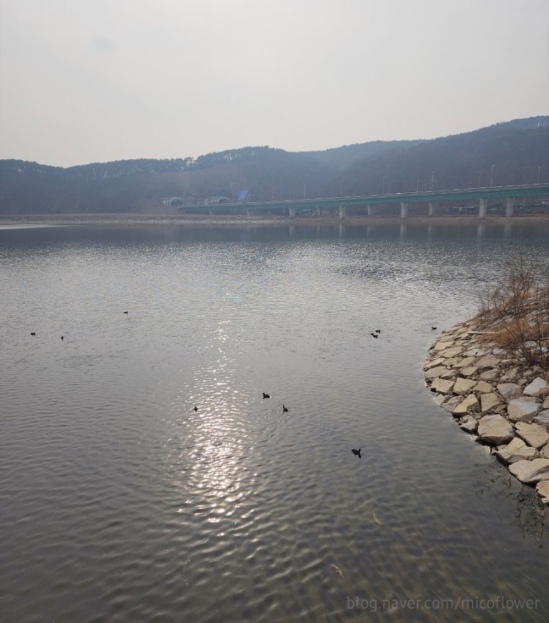 용인 기흥호수공원 둘레길 한바퀴 산책 네이버 블로그
