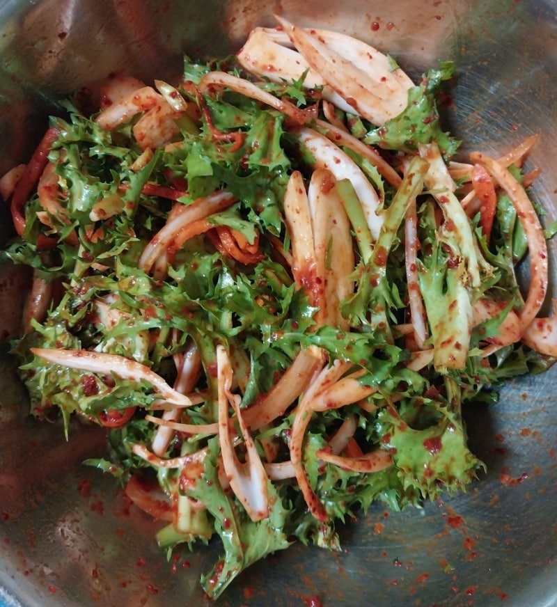 치커리 무침 간단하게 치커리 무침 만들기 양념 황금 비율 레시피 치커리 겉절이 네이버 블로그