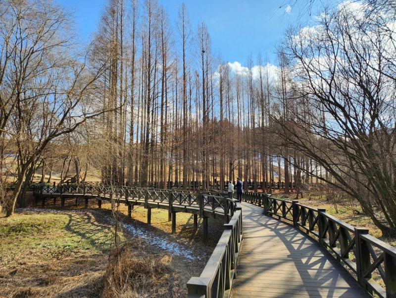 광주 가볼만한곳 무등산 광주호 호수생태원 광주 생태공원 산책 네이버 블로그