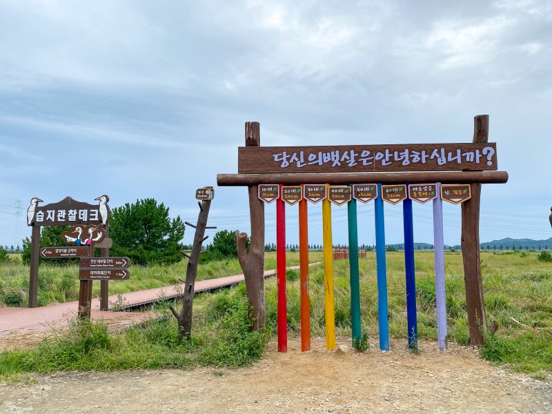 대부도 전동 스쿠터 타고 신나게 달리는 바다향기테마파크 💕 네이버 블로그