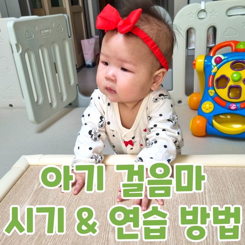 아기 걸음마에 대한 모든 것 걸음마 시기 걸음마 연습 걸음마 지도 방법 월령별 대근육 발달과정 정리 네이버 블로그