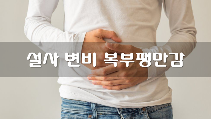 메디락 메디락디에스 Ds 장용캡슐 유산균 유익균 정장제 프로바이오틱스 변비 설사 복부팽만감 효능 효과 복용법 부작용 가격
