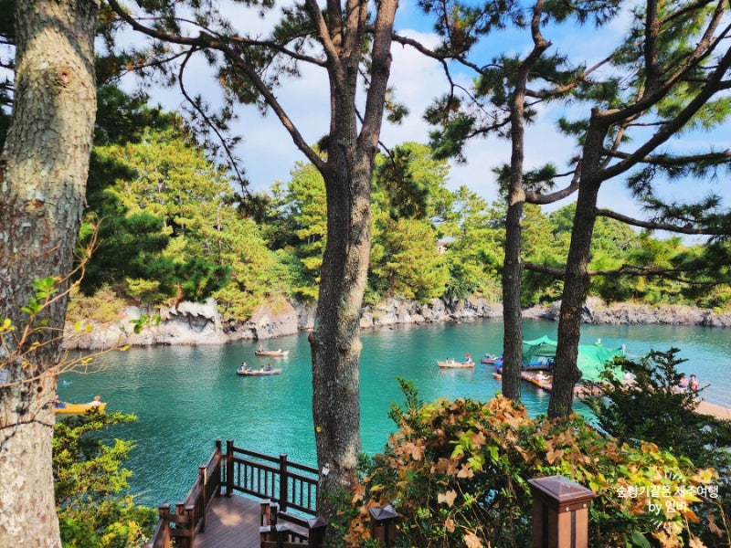 제주도 남쪽코스 제주 쇠소깍 카약 테우 예약방법 네이버 블로그