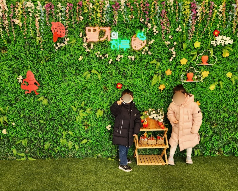 아이들이 좋아하는 인천 딸기농장 체험 딸기의 하루 네이버 블로그