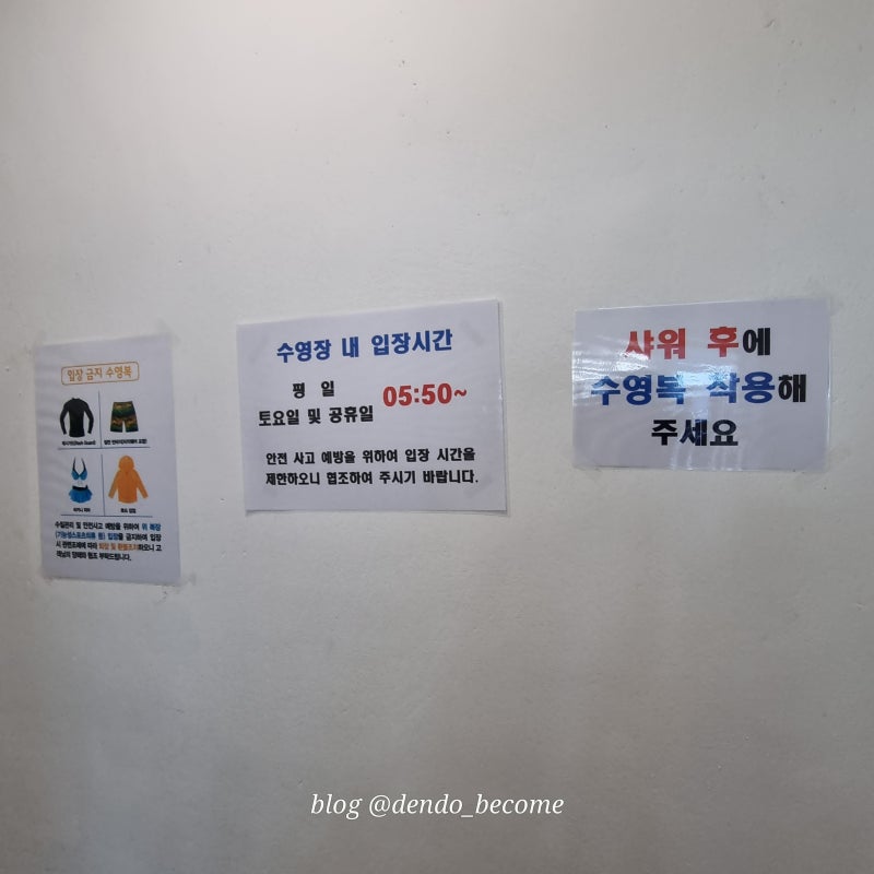 경산수영장 평일 토요일 공휴일 자유수영 후기 수영강습비용 네이버 블로그