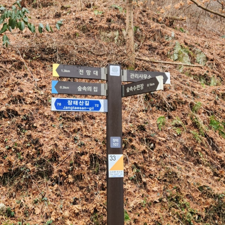 대전 장태산 자연휴양림 등산코스 자연휴양림~전망대~형제바위~형제산~팔마정~커피인터뷰 네이버 블로그